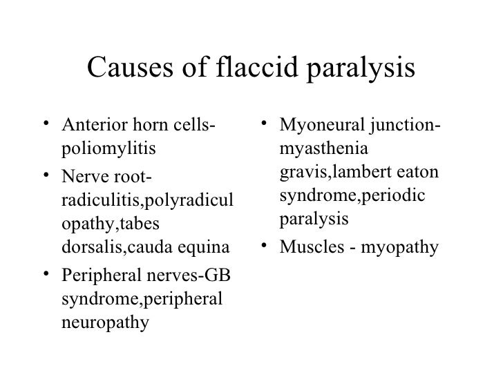 Paraplegia Definition