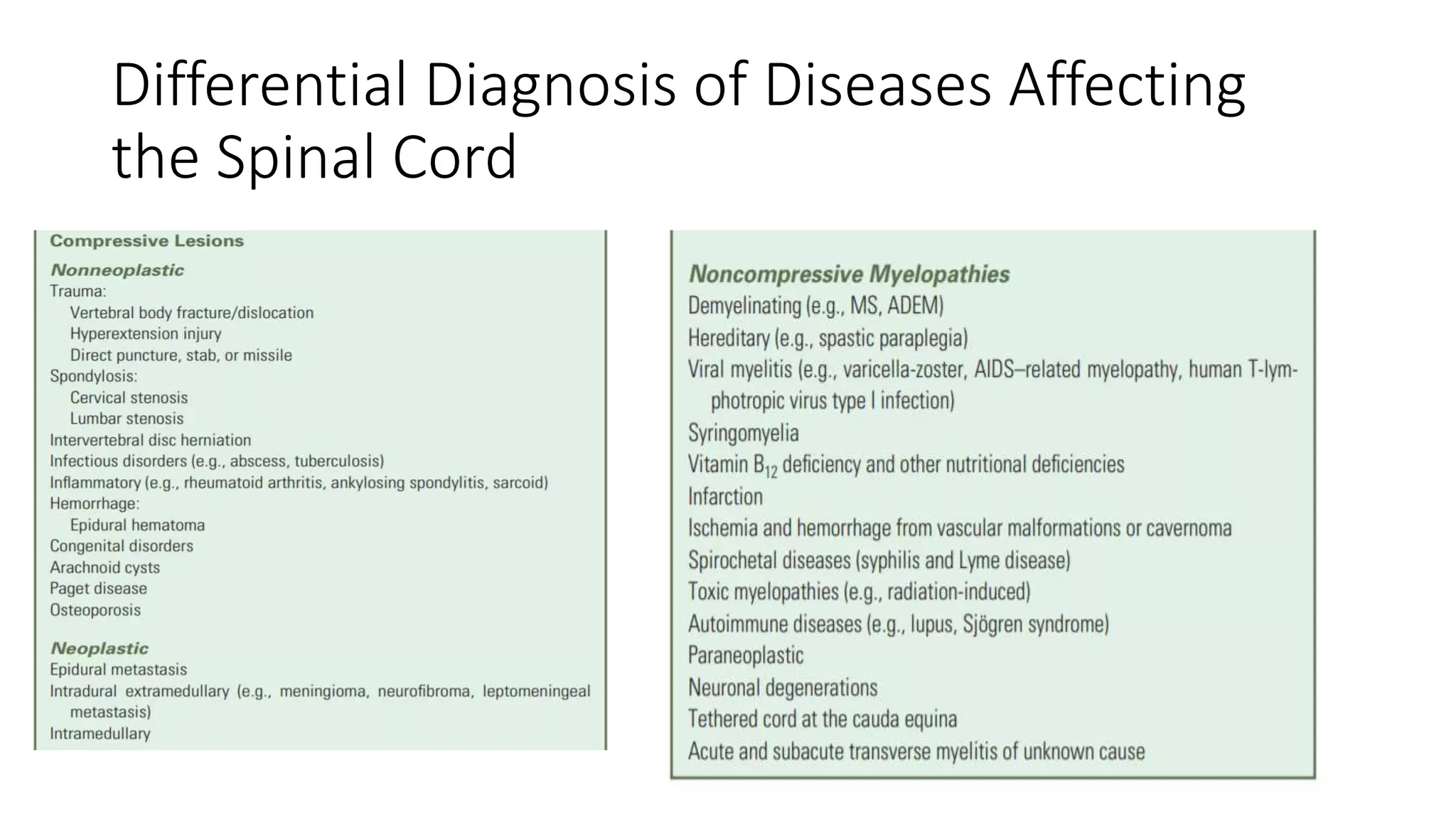 Paraplegia and spinal cord syndromes | PPTX