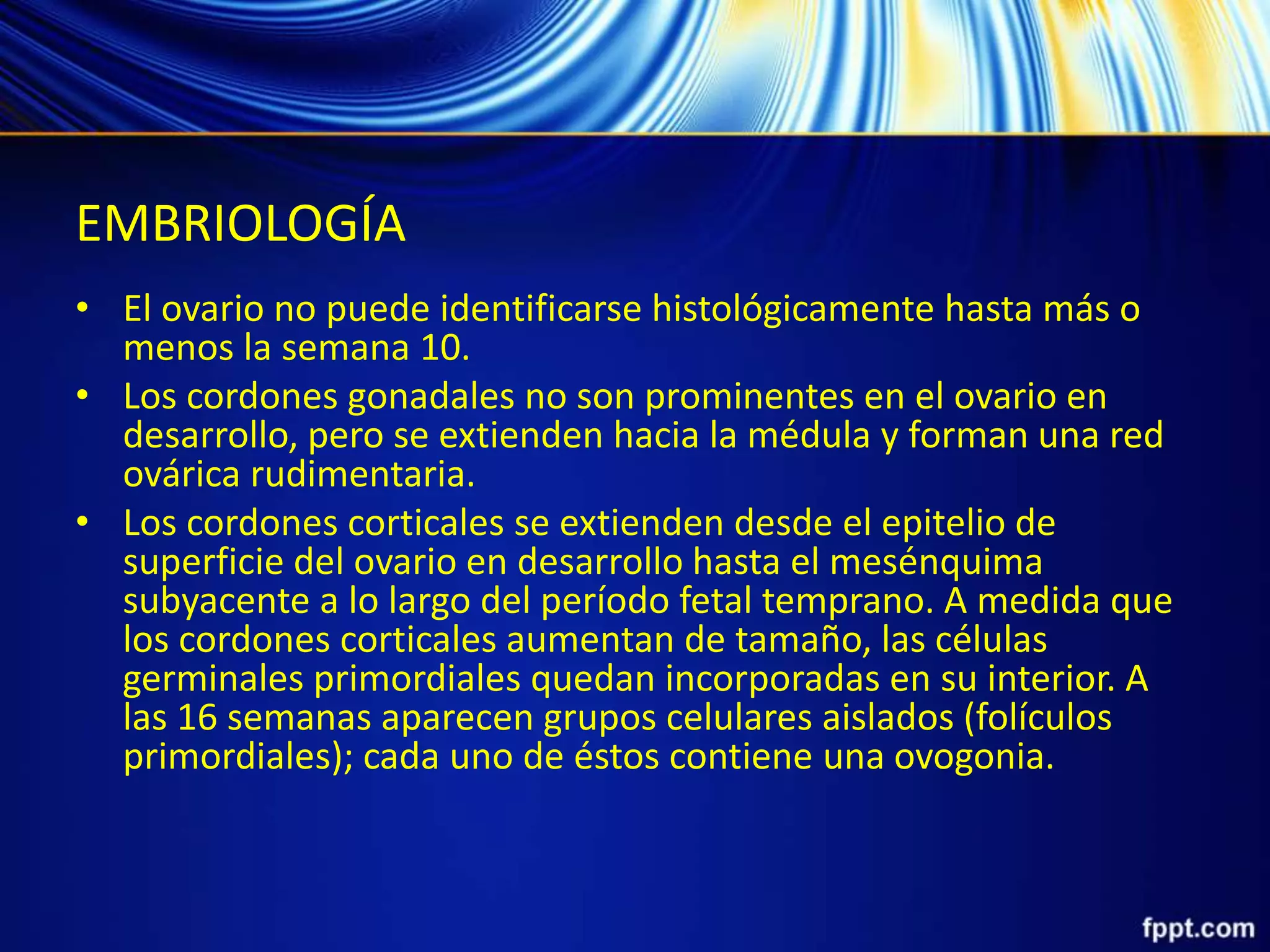 Cáncer de Ovario y Patología de Salpinge | PPT