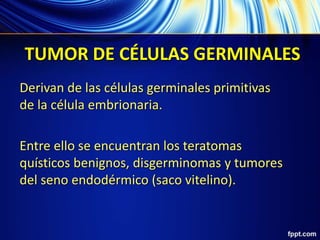 Cáncer de Ovario y Patología de Salpinge | PPTX