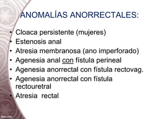 Abdomen Fetal | PPTX