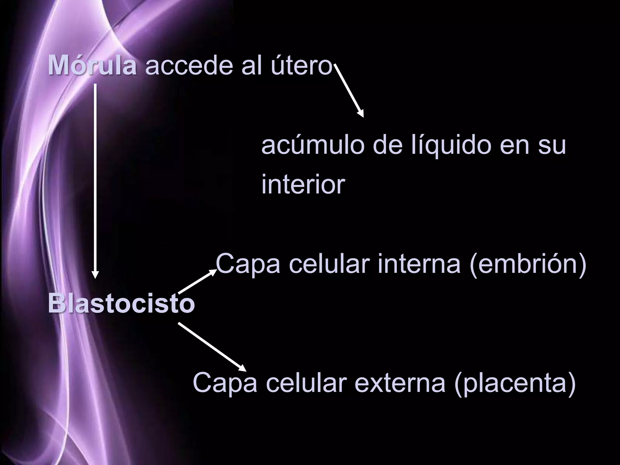 ECOGRAFÍA NORMAL Y PATOLOGÍA DE LA PLACENTA Y CORDÓN UMBILICAL | PPTX