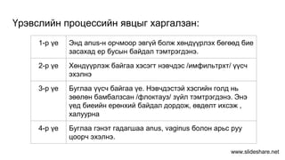 Paraproctitis тухай хийсэн ллллллллллллллллл | PPTX