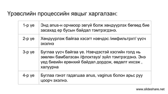 Paraproctitis тухай хийсэн ллллллллллллллллл | PPTX