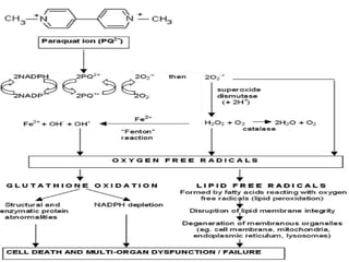 PARAQUAT POISONING by Dr.Guru Srinivasan.pptx