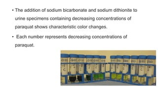 Paraquat toxicity explained.pptx