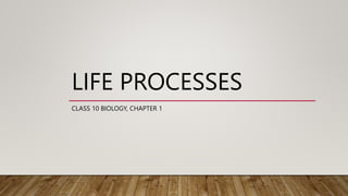 Class 10 presentation on biology chapter 1 | PPTX