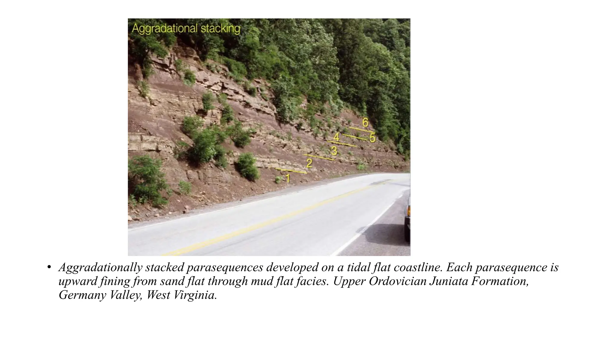 Parasequences and their types in details | PPTX