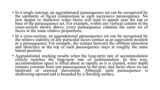 Parasequences and their types in details | PPTX