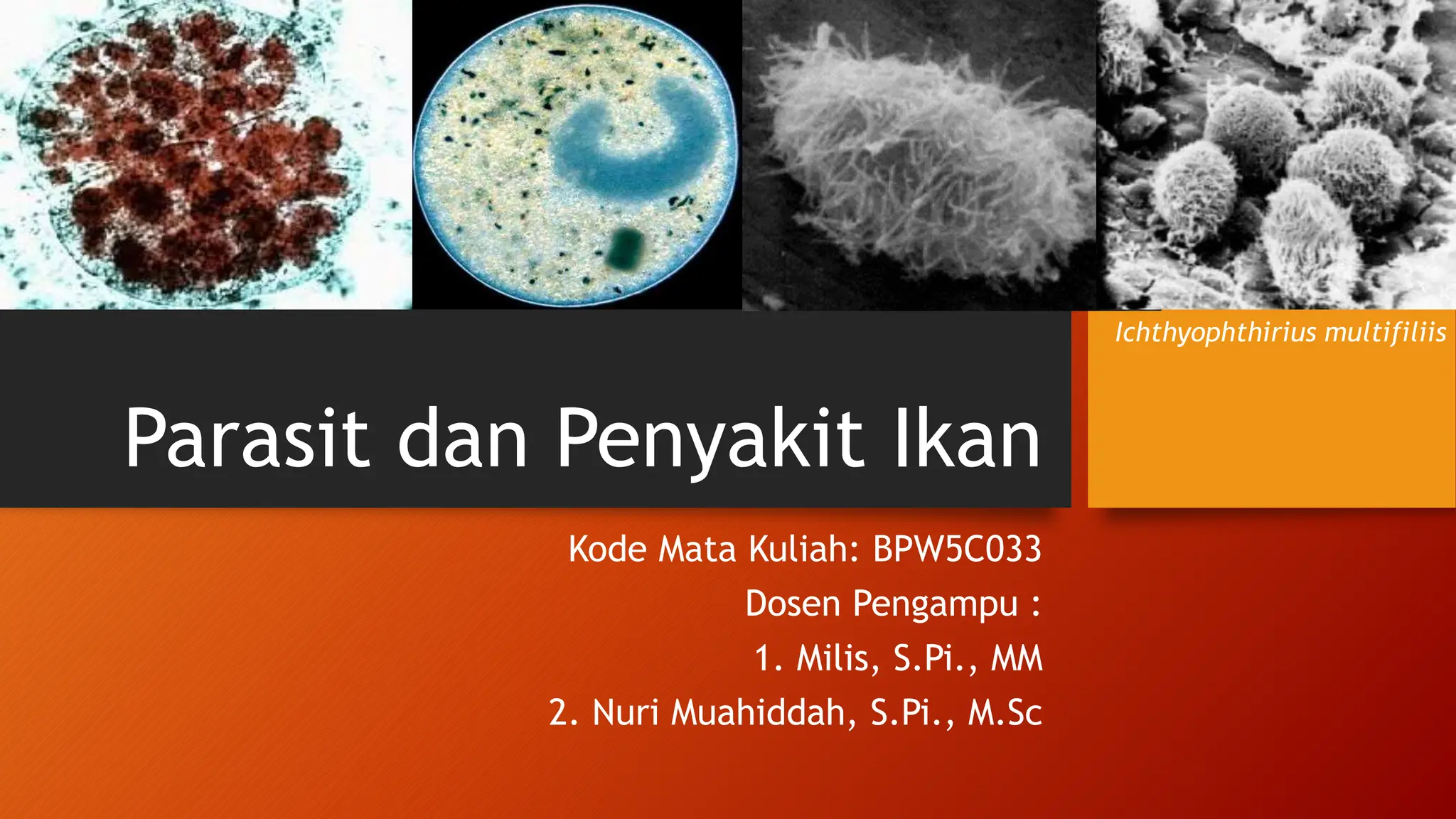 Parasit_dan_Penyakit_Ikan_nuri......pptx