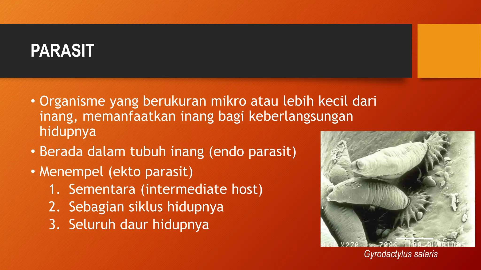 Parasit_dan_Penyakit_Ikan_nuri......pptx