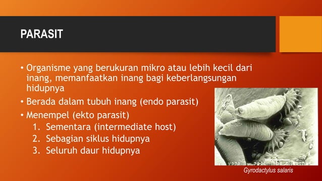 Parasit_dan_Penyakit_Ikan_nuri......pptx
