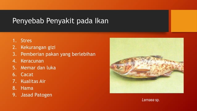 Parasit_dan_Penyakit_Ikan_nuri......pptx
