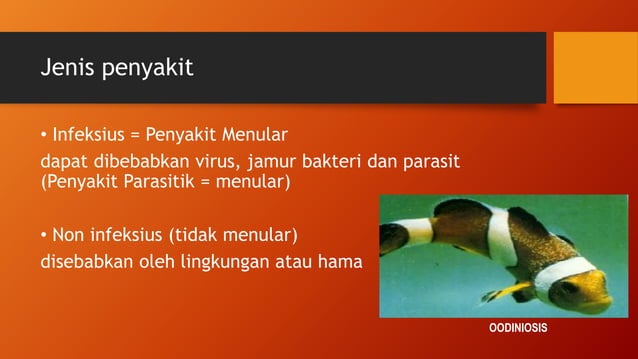 Parasit_dan_Penyakit_Ikan_nuri......pptx