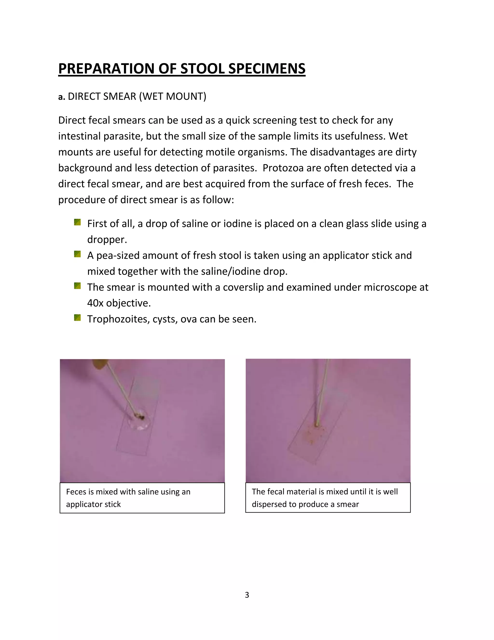diagnosis of intestinal protozoa | DOCX