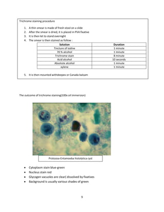 diagnosis of intestinal protozoa | DOCX