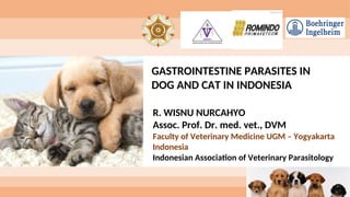 Gastrointestine Parasites in Dogs and Cat in Indonesia | PPT