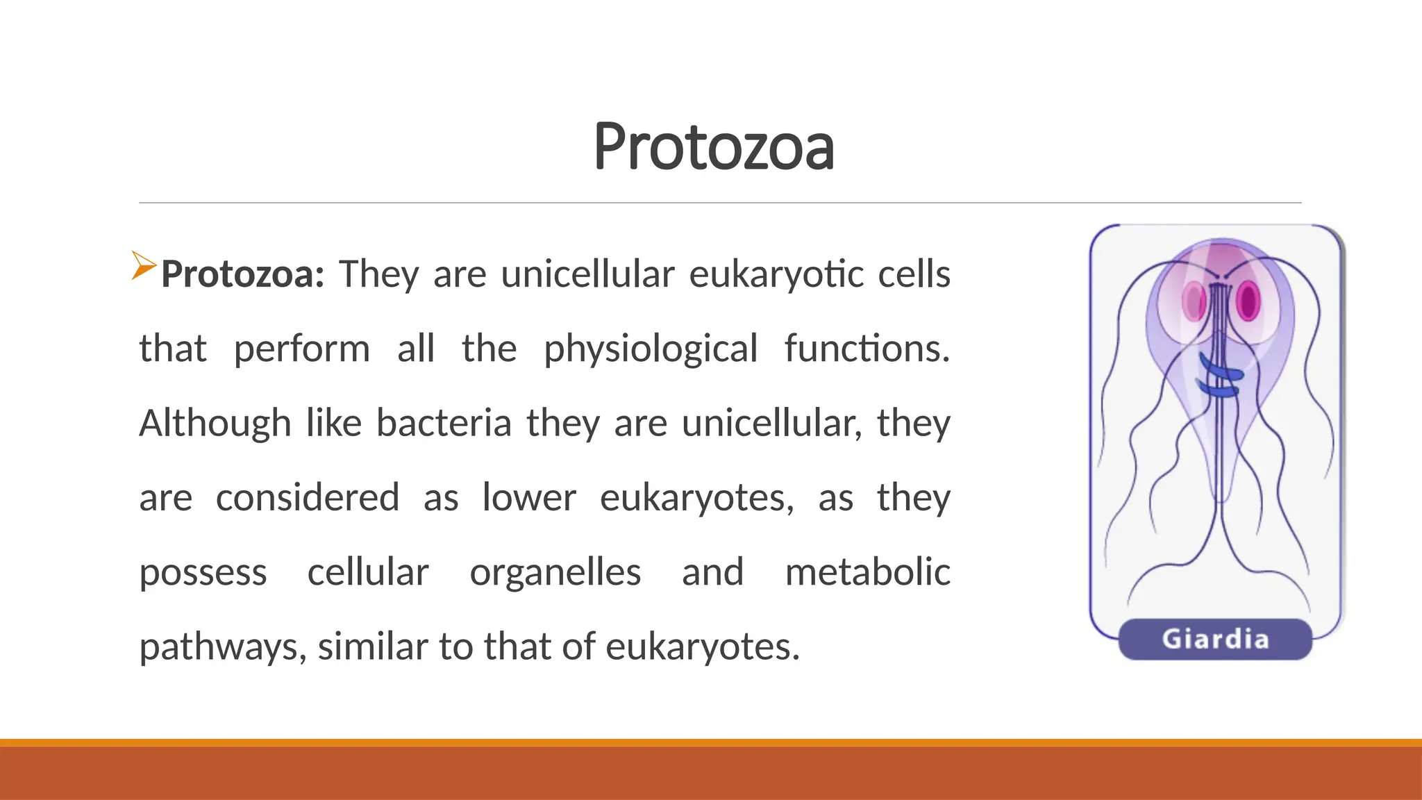 Parasite and parasitism, classification of protozoans & helminths- II.pptx