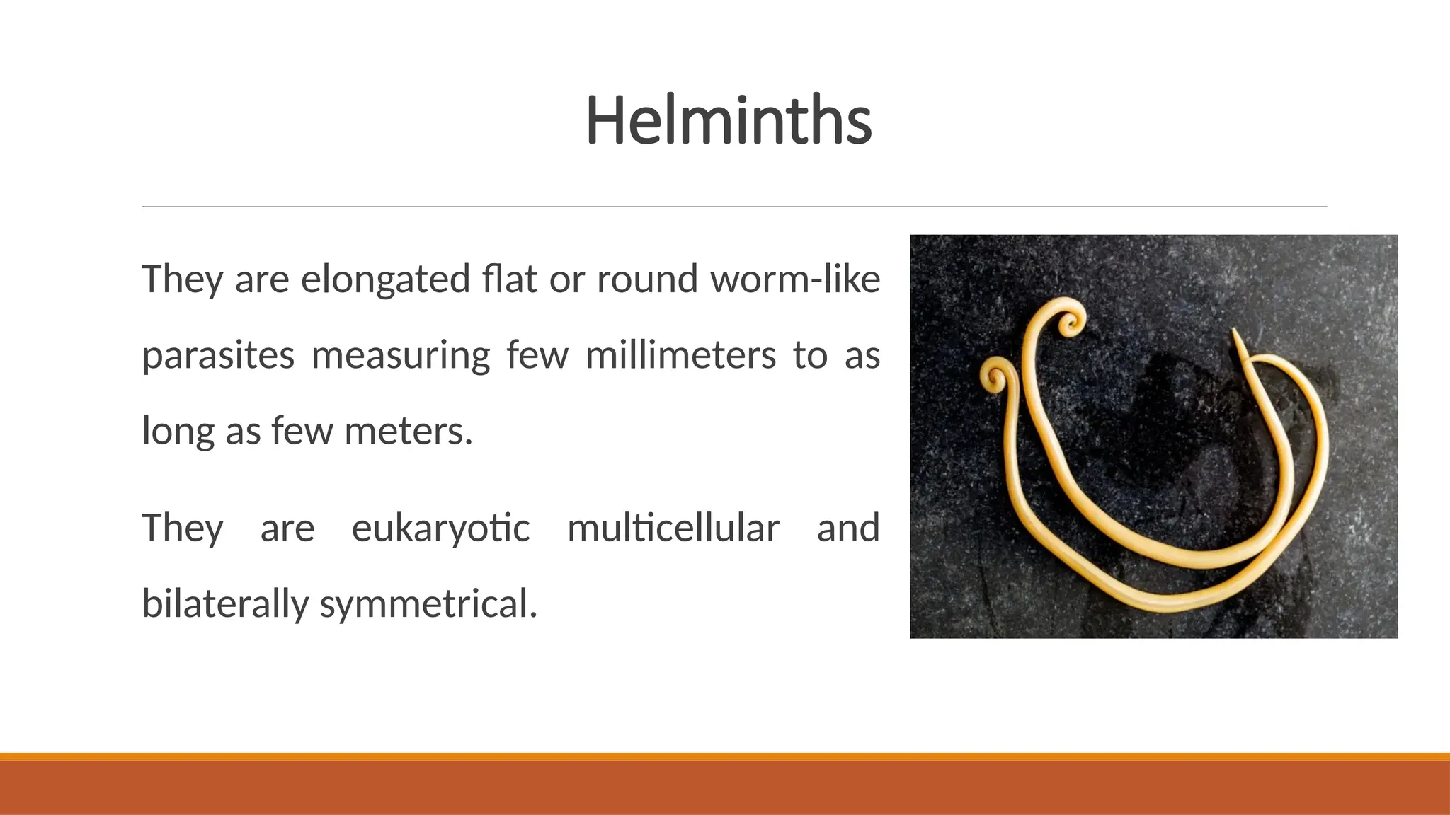 Parasite and parasitism, classification of protozoans & helminths- II.pptx