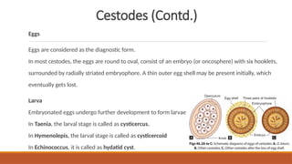 Parasite and parasitism, classification of protozoans & helminths- II.pptx