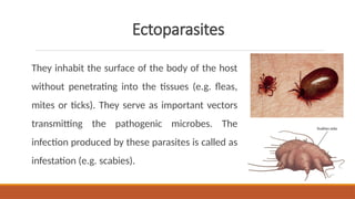 Parasite and parasitism, classification of protozoans & helminths- II.pptx
