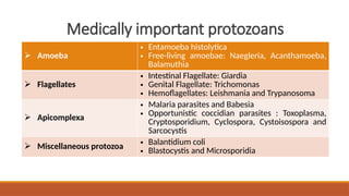 Parasite and parasitism, classification of protozoans & helminths- II.pptx