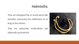 Parasite and parasitism, classification of protozoans & helminths- II.pptx