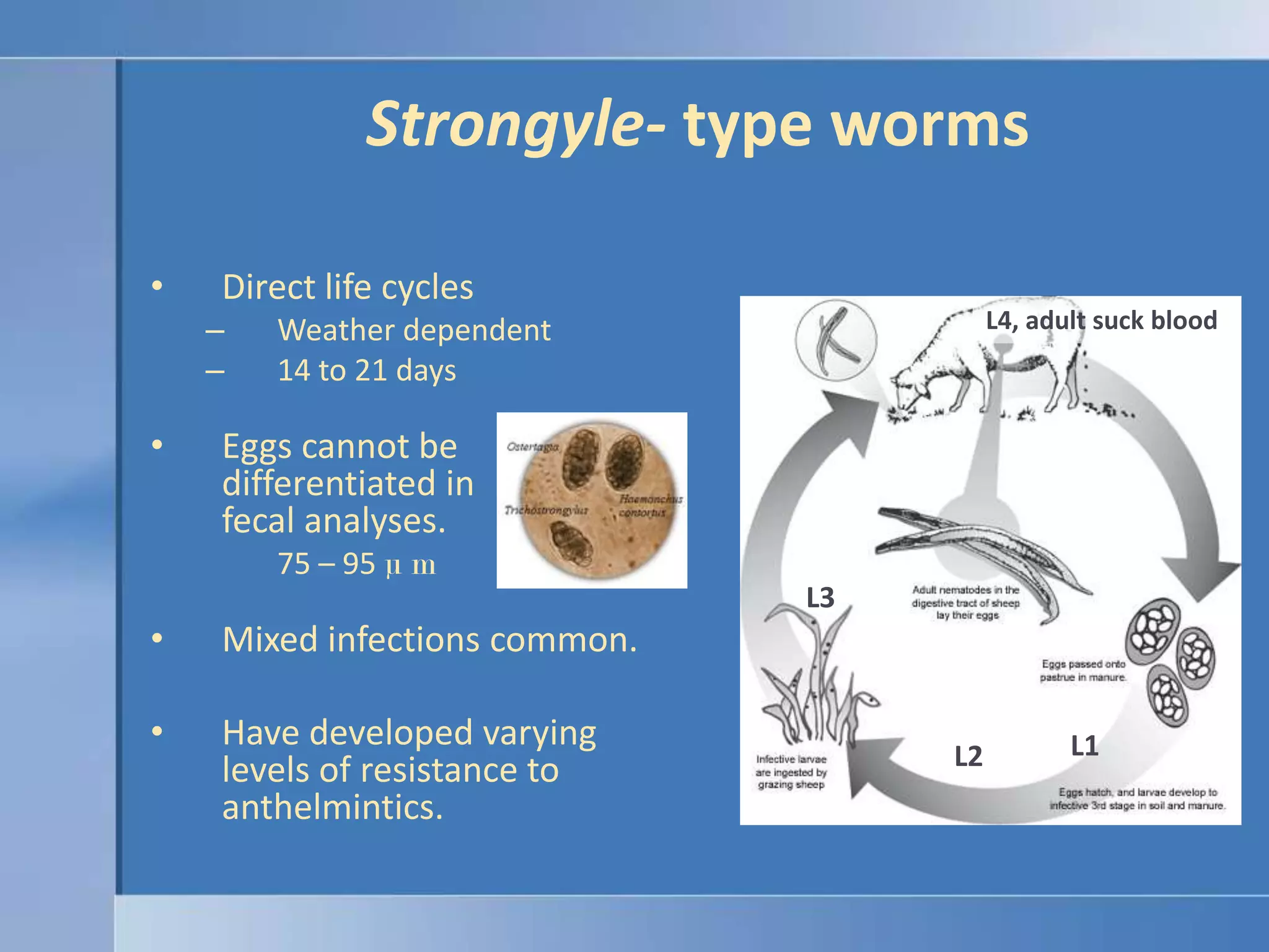 Parasitebiology | PPT