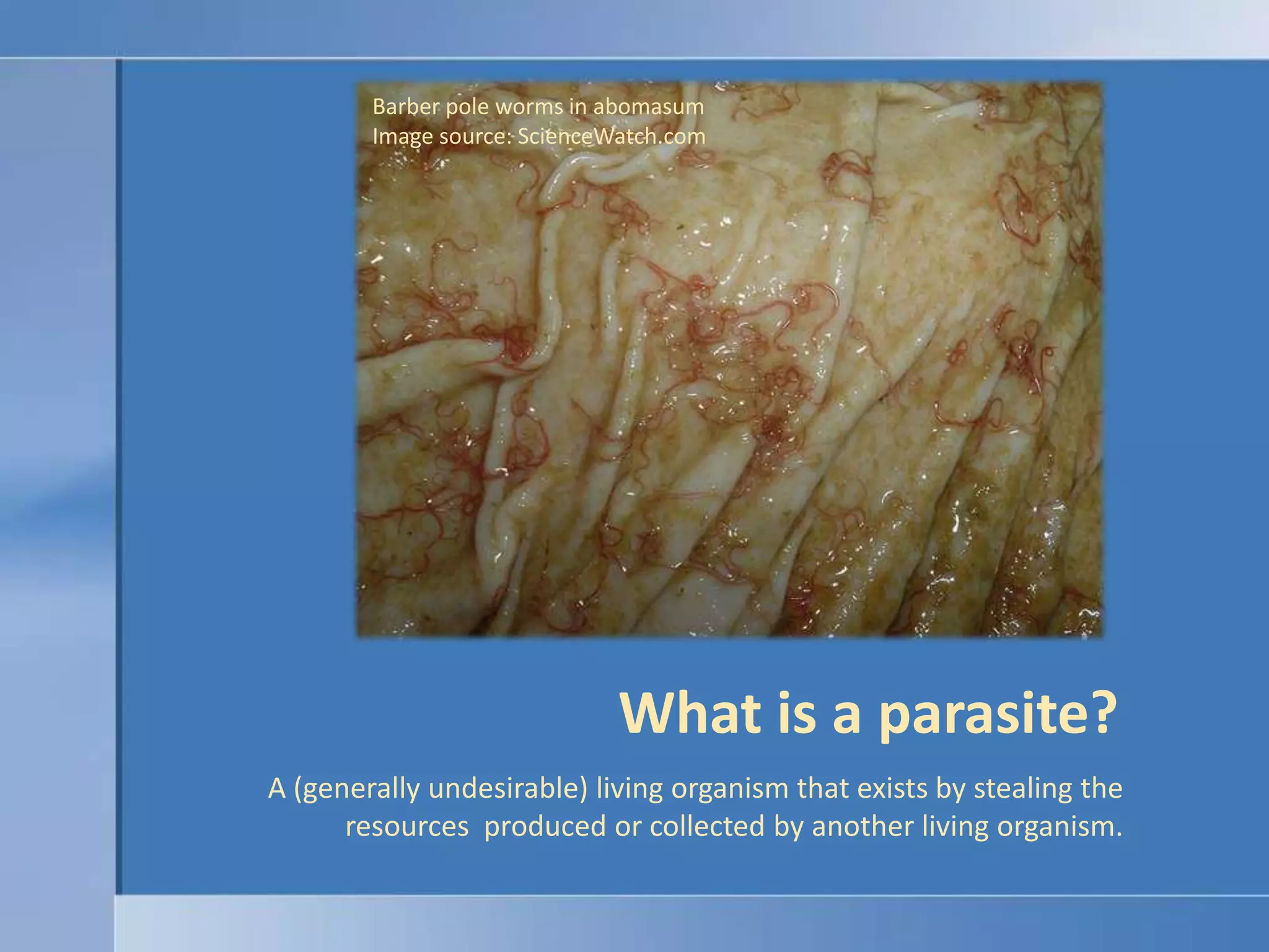 Parasitebiology | PPTX
