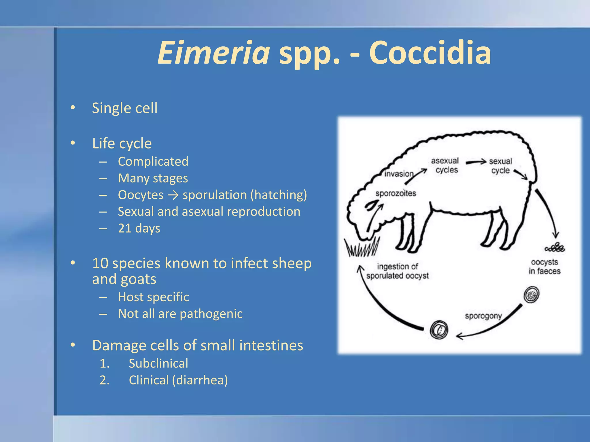 Parasitebiology | PPTX