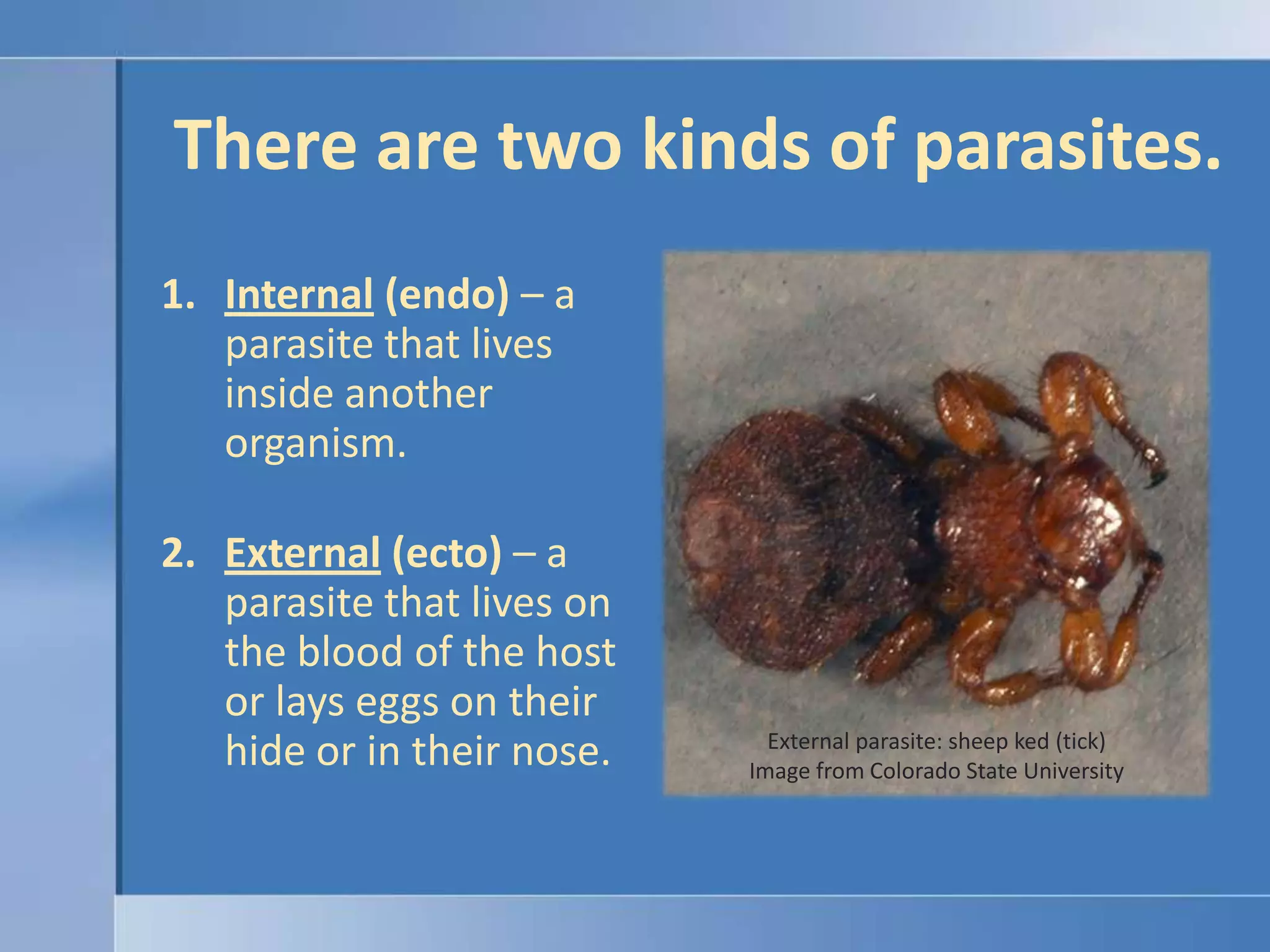 Parasitebiology | PPTX