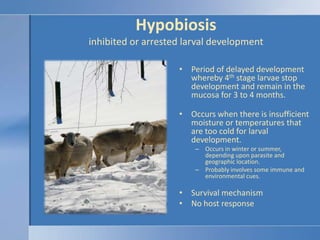 Parasitebiology | PPTX