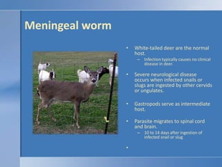 Parasitebiology | PPTX