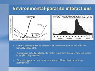 Parasitebiology | PPT