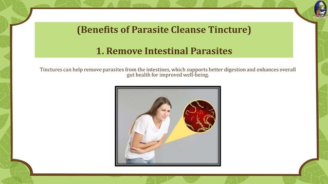 Parasite Cleanse Tincture: Benefits and How It Works | PDF