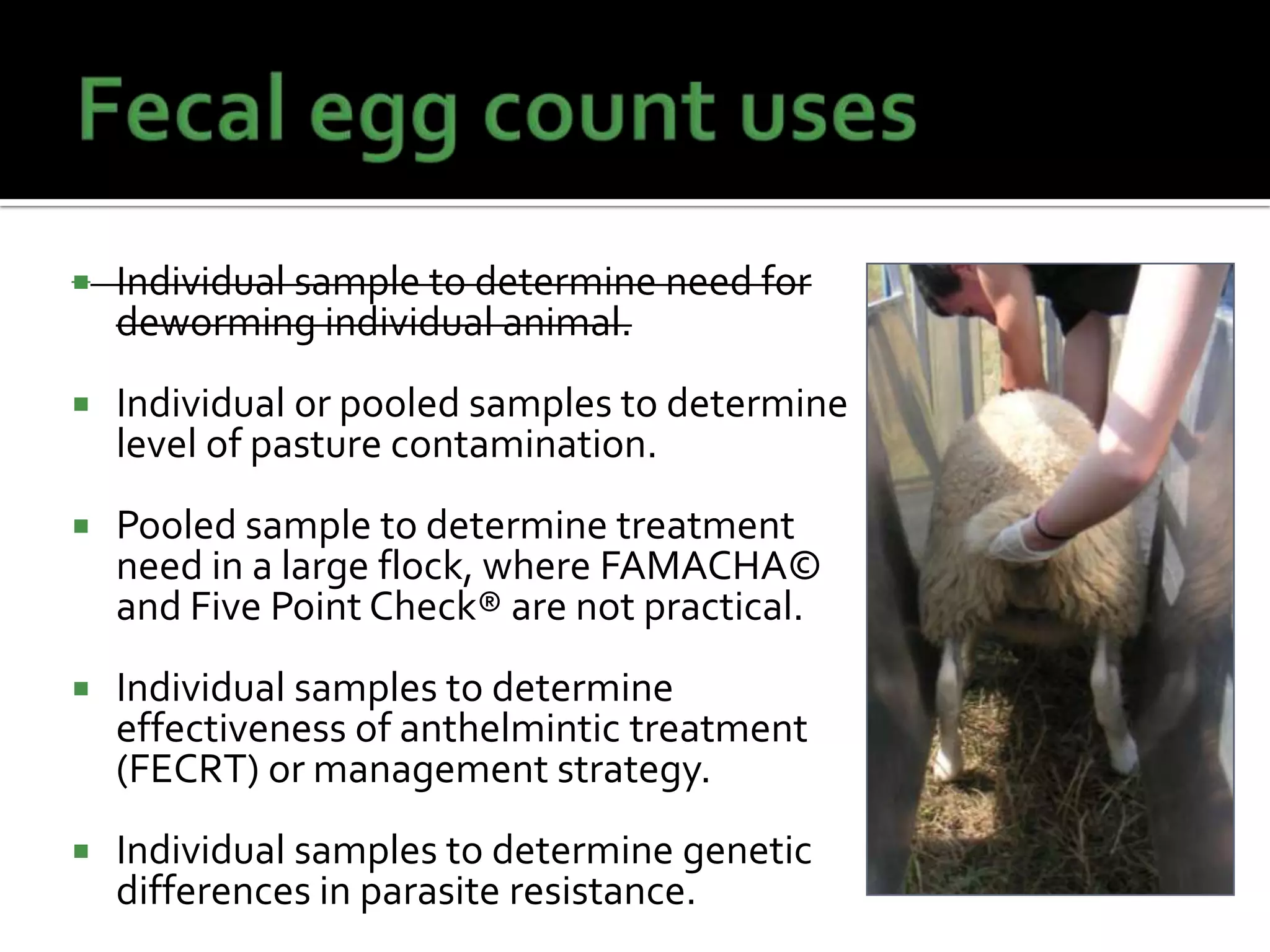 Parasite control in dairy sheep | PPTX