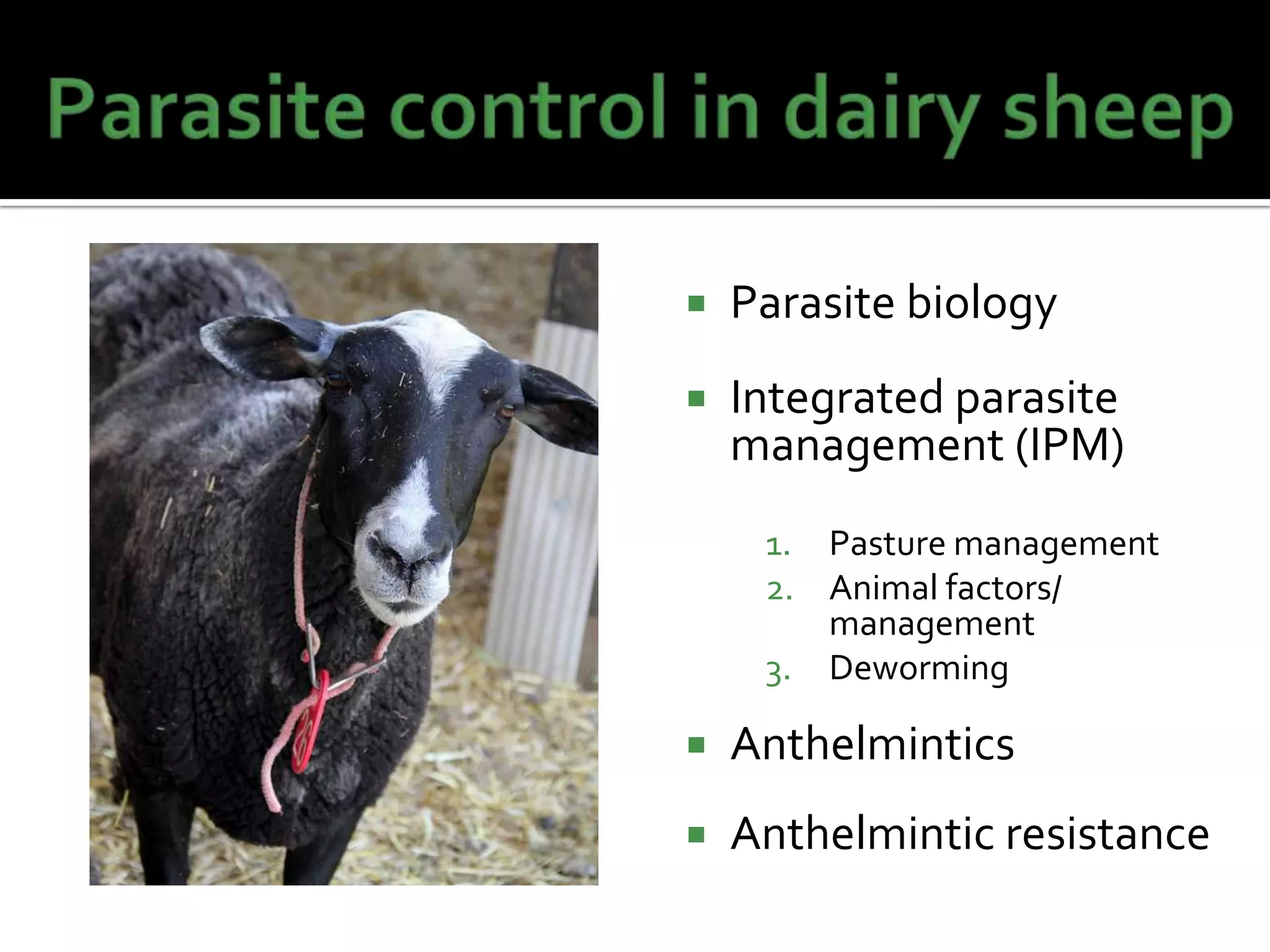 Parasite control in dairy sheep | PPTX