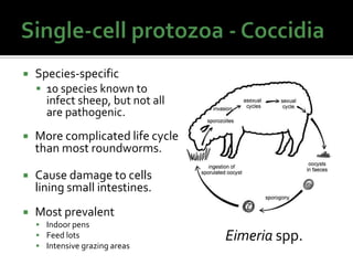 Parasite control in dairy sheep | PPTX
