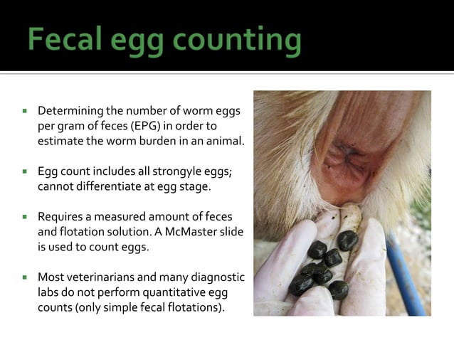 Parasite control in dairy sheep | PPT
