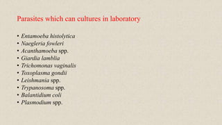 Parasite culture | PPTX