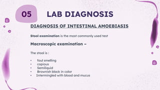 entamoeba histolytica.pptx