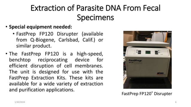 parasite DNA extraction .pptx