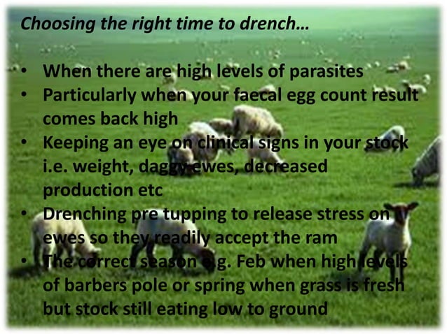 Parasite farmer presentation Michelle Holloway | PPTX | Veterinary ...