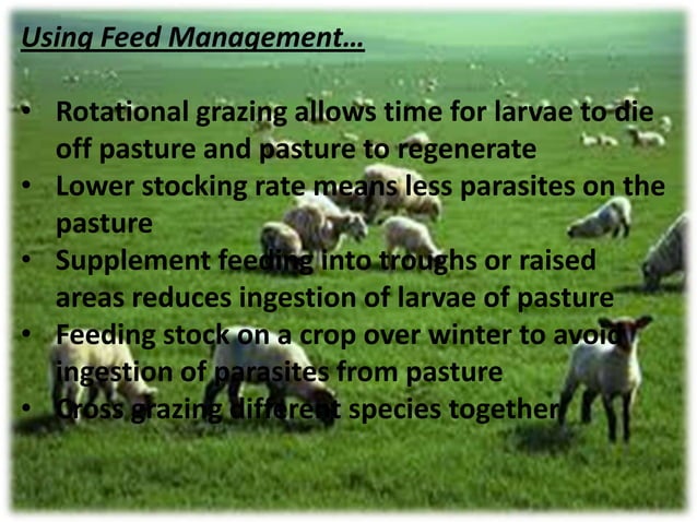 Parasite farmer presentation Michelle Holloway | PPTX | Veterinary ...