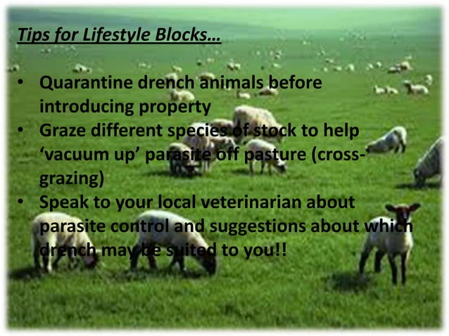 Parasite farmer presentation Michelle Holloway | PPTX | Veterinary ...