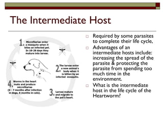 ParasiteHostRelationshipandLifeCycles.pdf