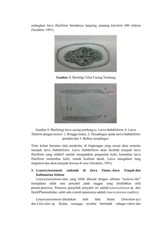 Parasit Endemik di Jawa | DOCX