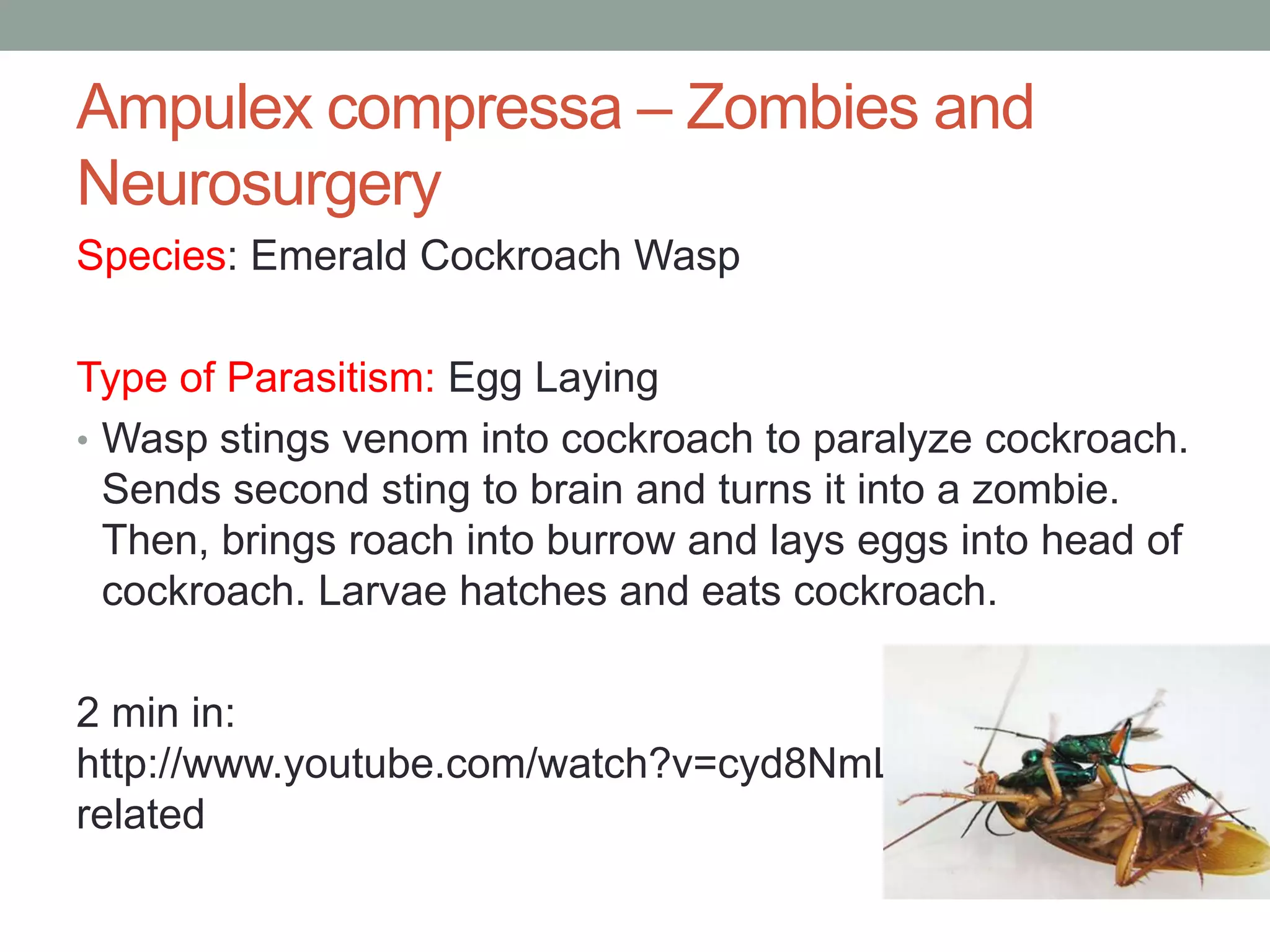 Parasites | PPT
