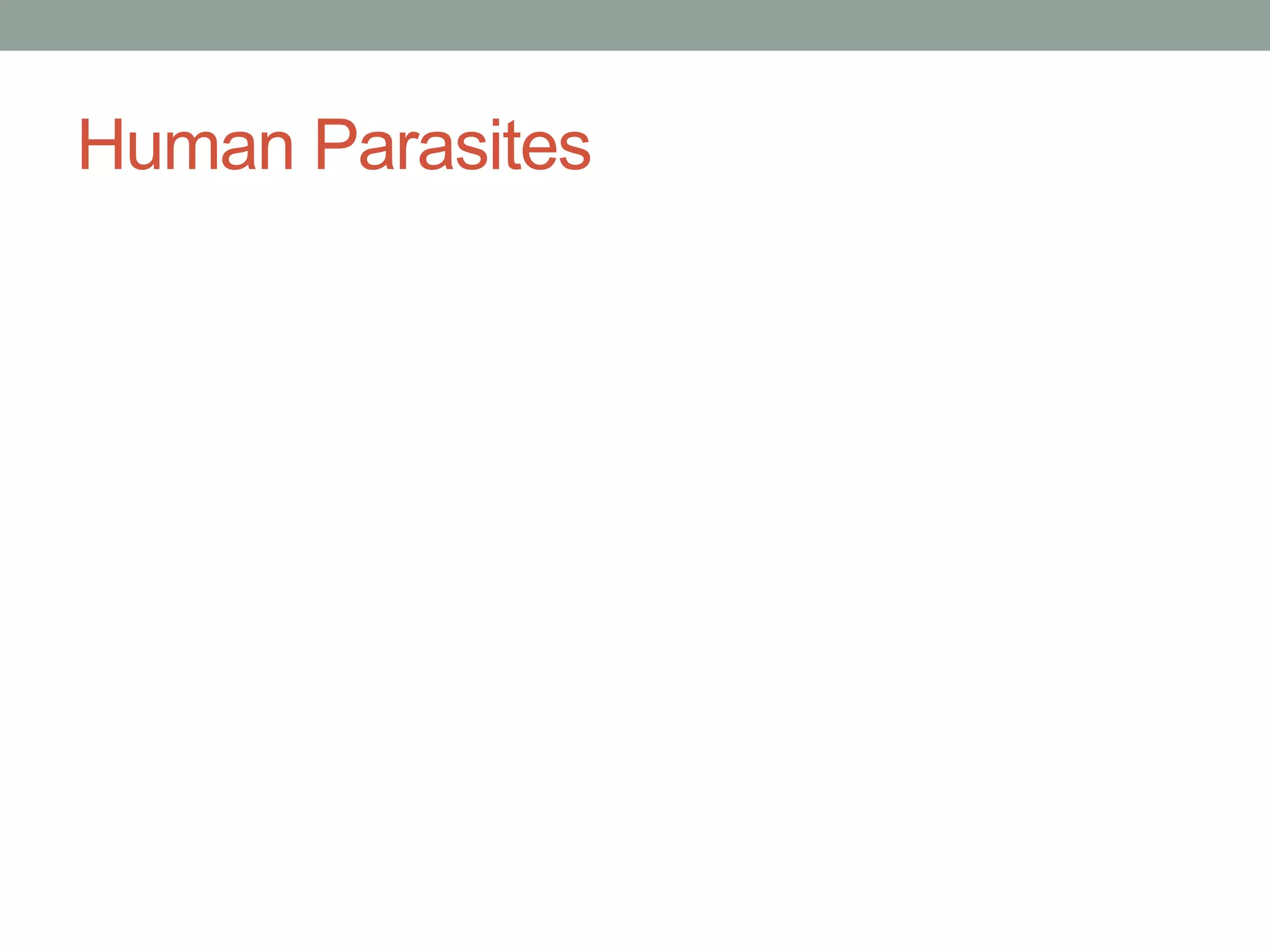 Parasites | PPTX | Infectious Diseases | Diseases and Conditions