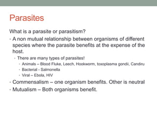 Parasites | PPTX | Infectious Diseases | Diseases and Conditions